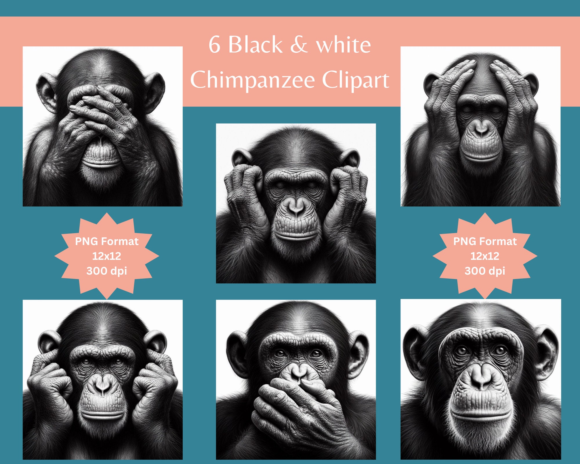 Chimpanzee, Wild Animal Clipart, Monkey Clipart, Zoo Animal Clipart ...