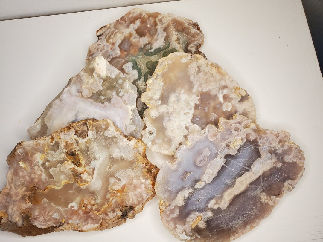 Unpolished Flower Agate Slab - Etsy
