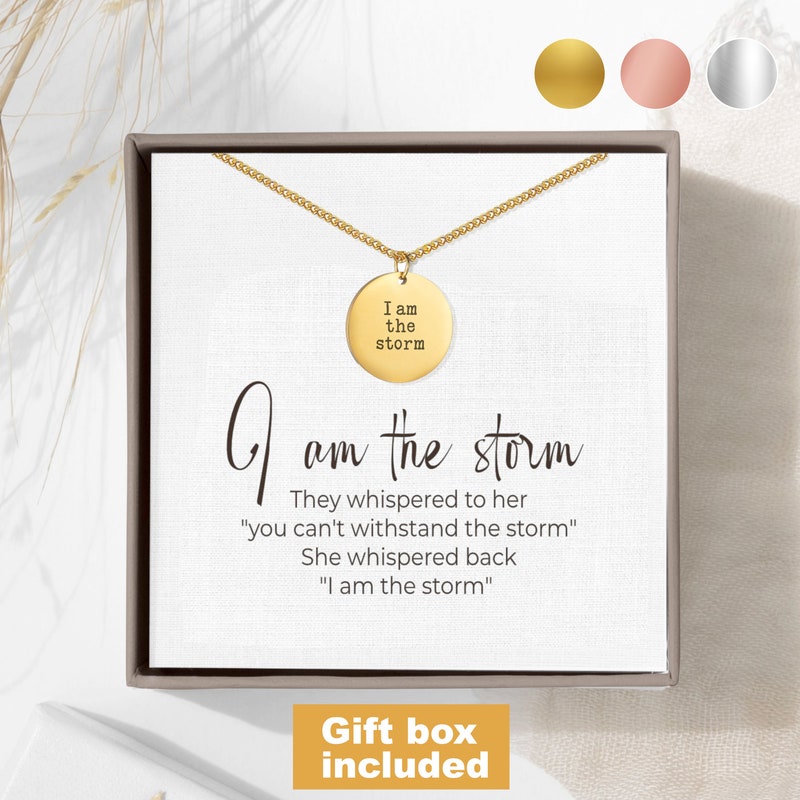 I Am the Storm - Etsy