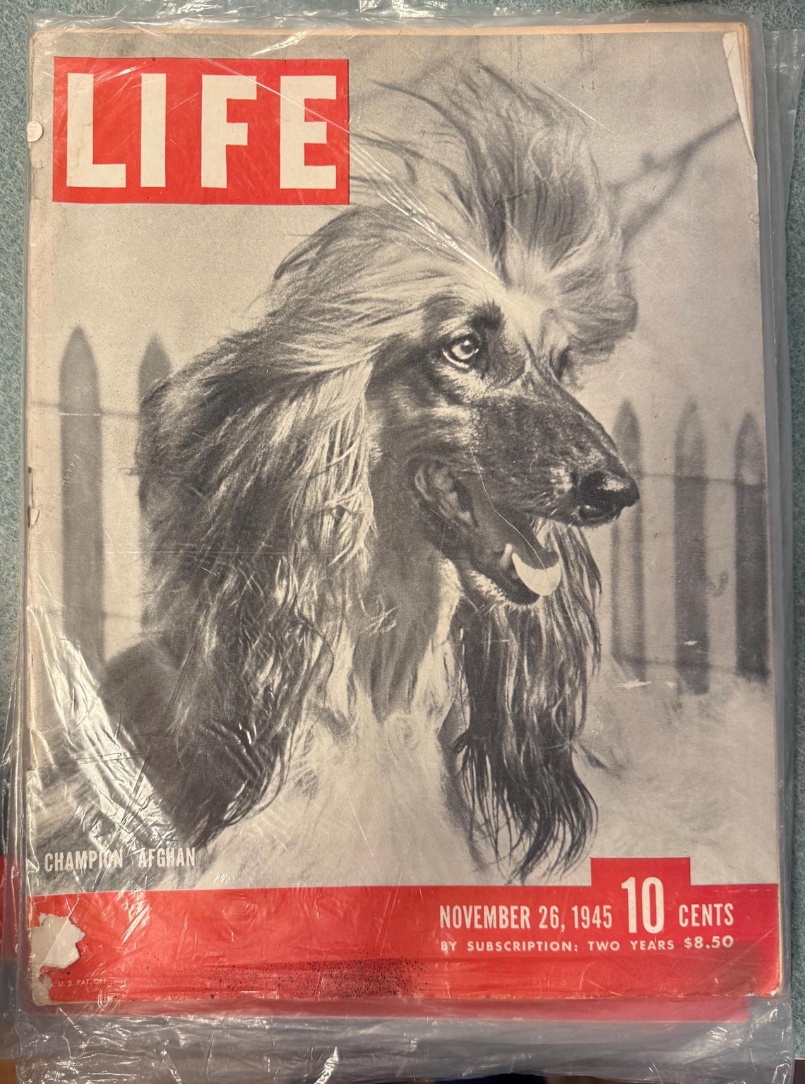 Vintage LIFE Magazines 1940s Lot of 17 Collectible Classic American - Etsy