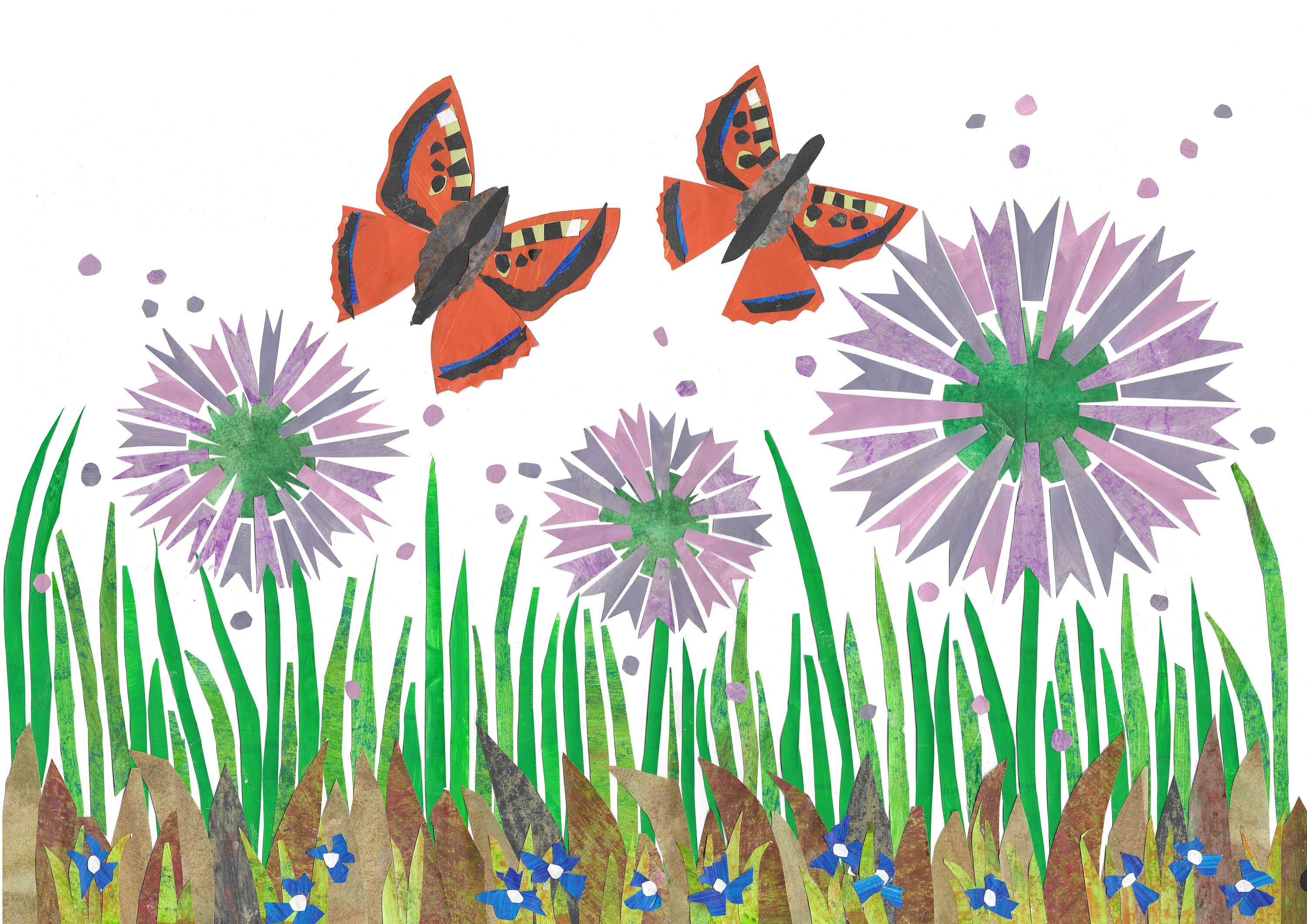 Dancing Alliums and Admirals, Butterfly and Floral Print on Archival ...