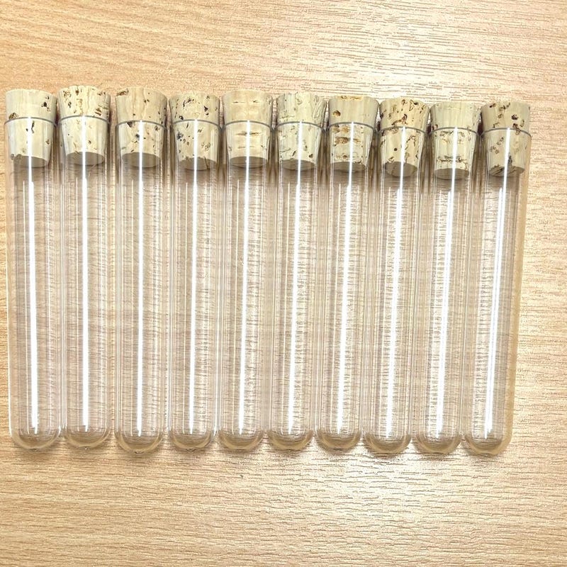 Dried Flower in Glass Tube - Etsy UK