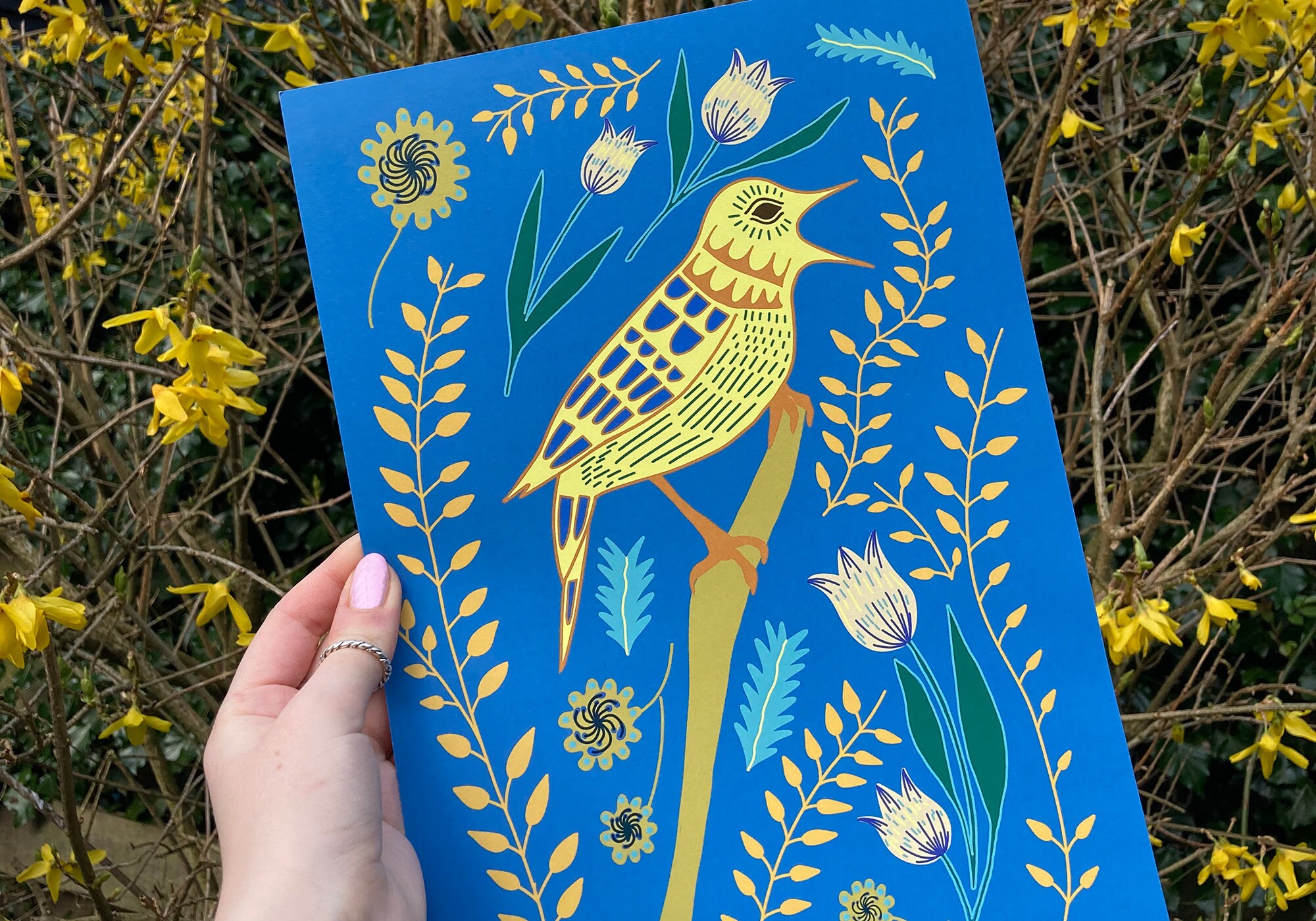 Ukrainian Nightingale A4 Wall Art / Print - Etsy