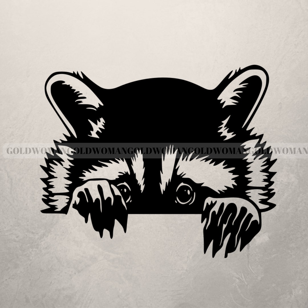 Raccoon Face Svg, Cute Raccoon Svg Cut Files for Cricut, Digital ...