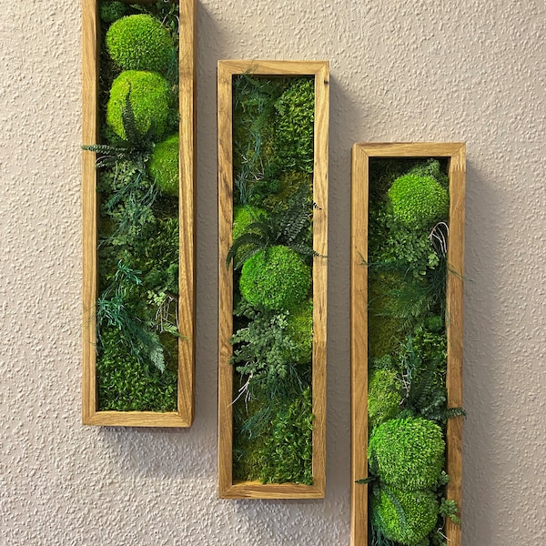Moss Wall - Etsy