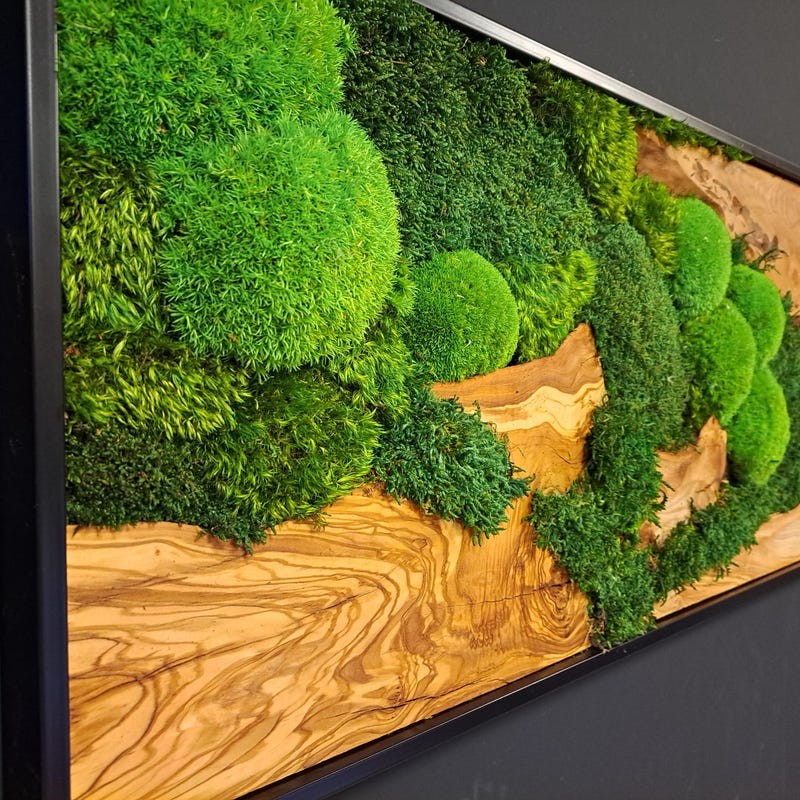 Sound Absorbing Wall Art - Etsy UK