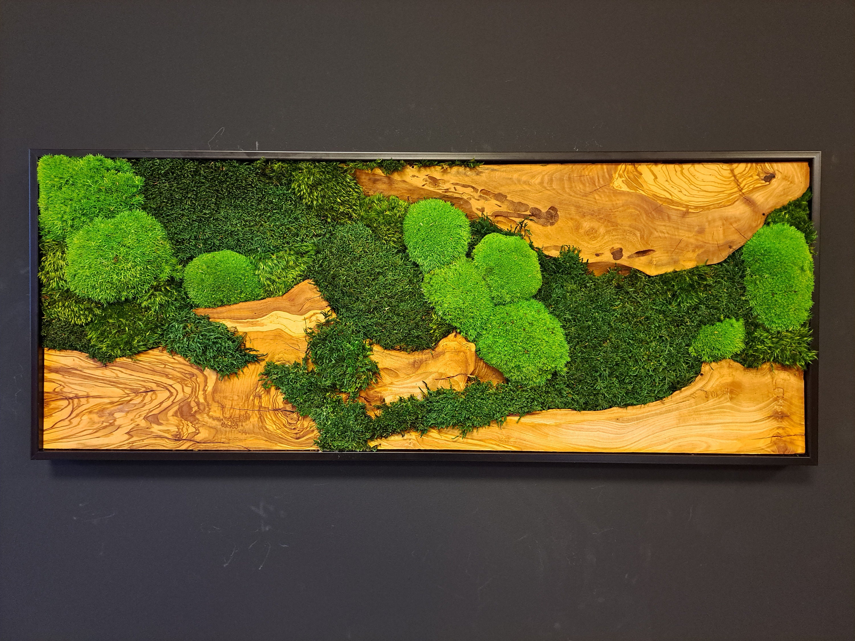 Moosbild Symbiose Kugelmoos Olivenholz Alurahmen Wandkunst - Etsy Schweiz