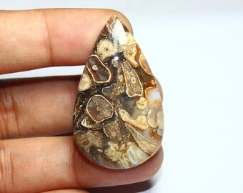 Peanut Wood Stone - Etsy