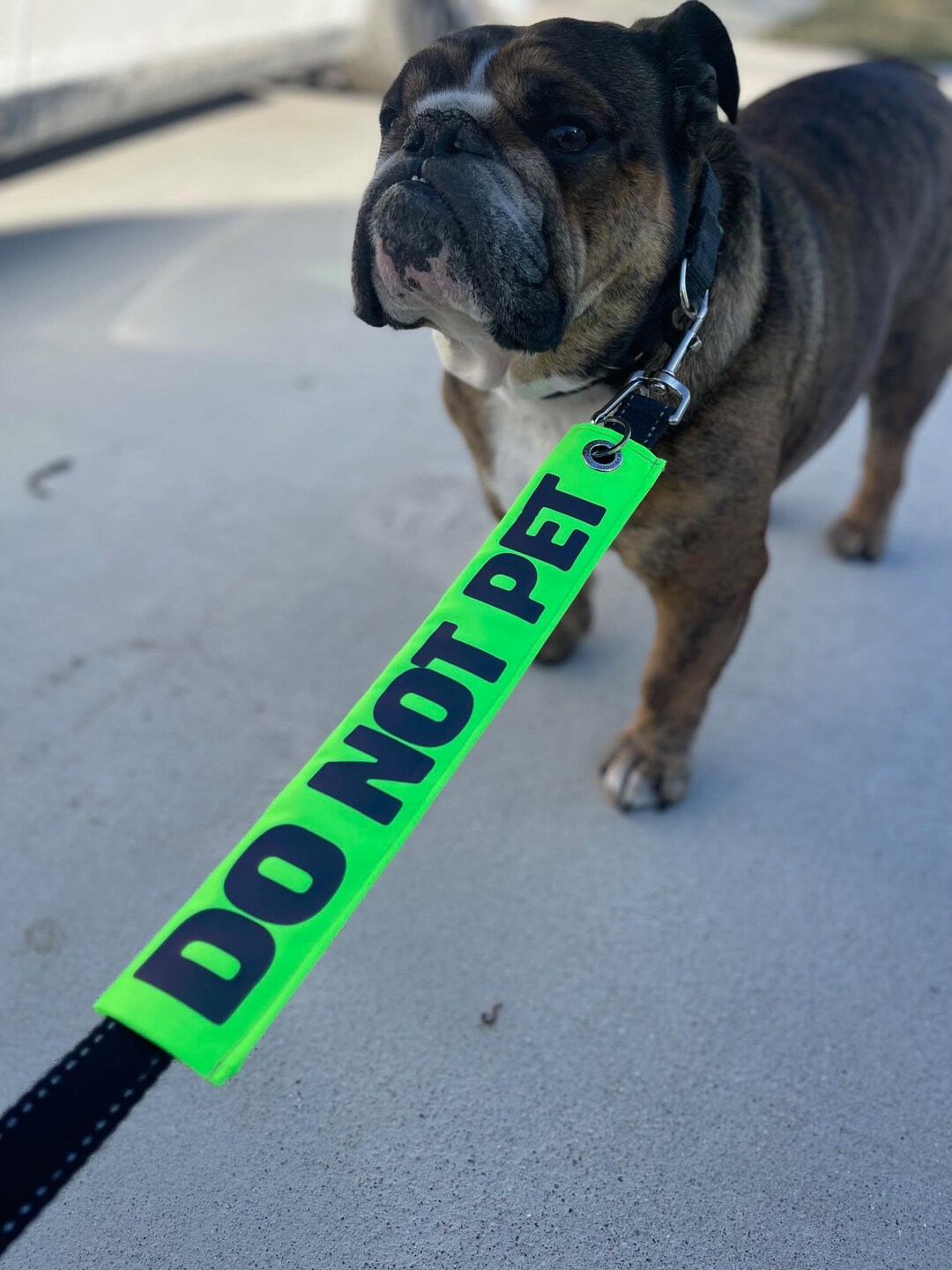 Customized **FLUORESCENT GREEN** Pet Leash Sleeve Cover -fully ...