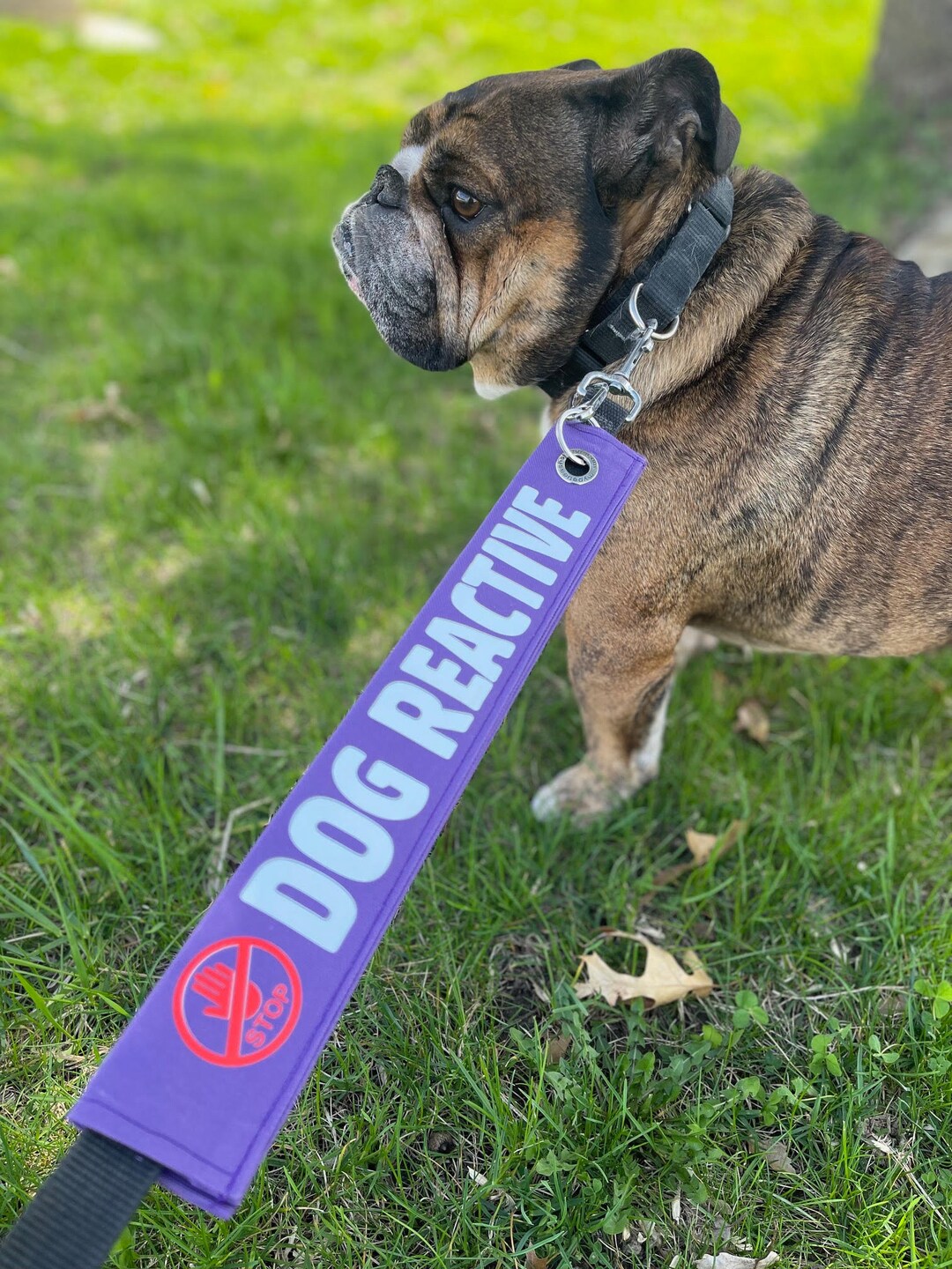 Customized **PURPLE** Pet Leash Sleeve Cover - Fully Customizable ...