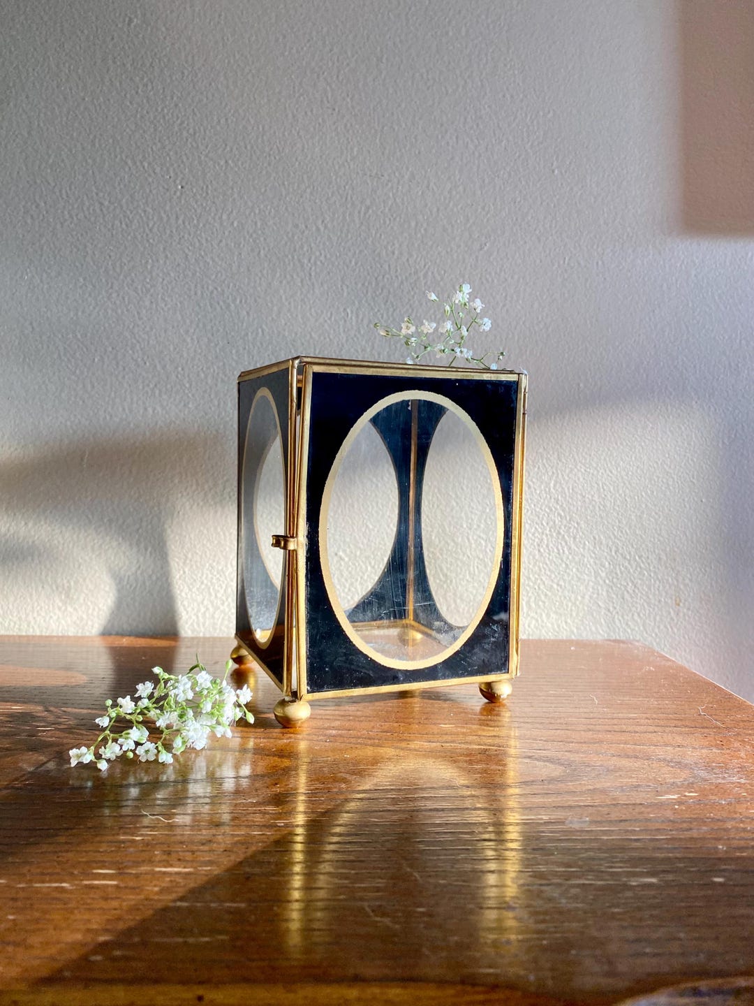 Glass Display Case With Black Oval Gilded Trim Design Vintage Brass and ...