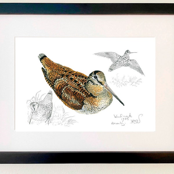 Wildlife Artists - Etsy