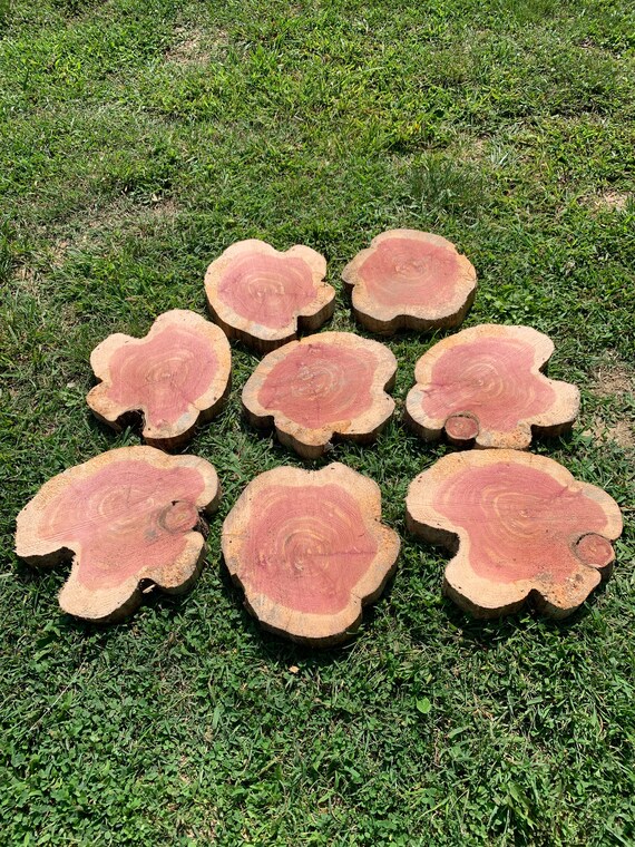 Eastern Red Cedar Cookies/rounds - Etsy