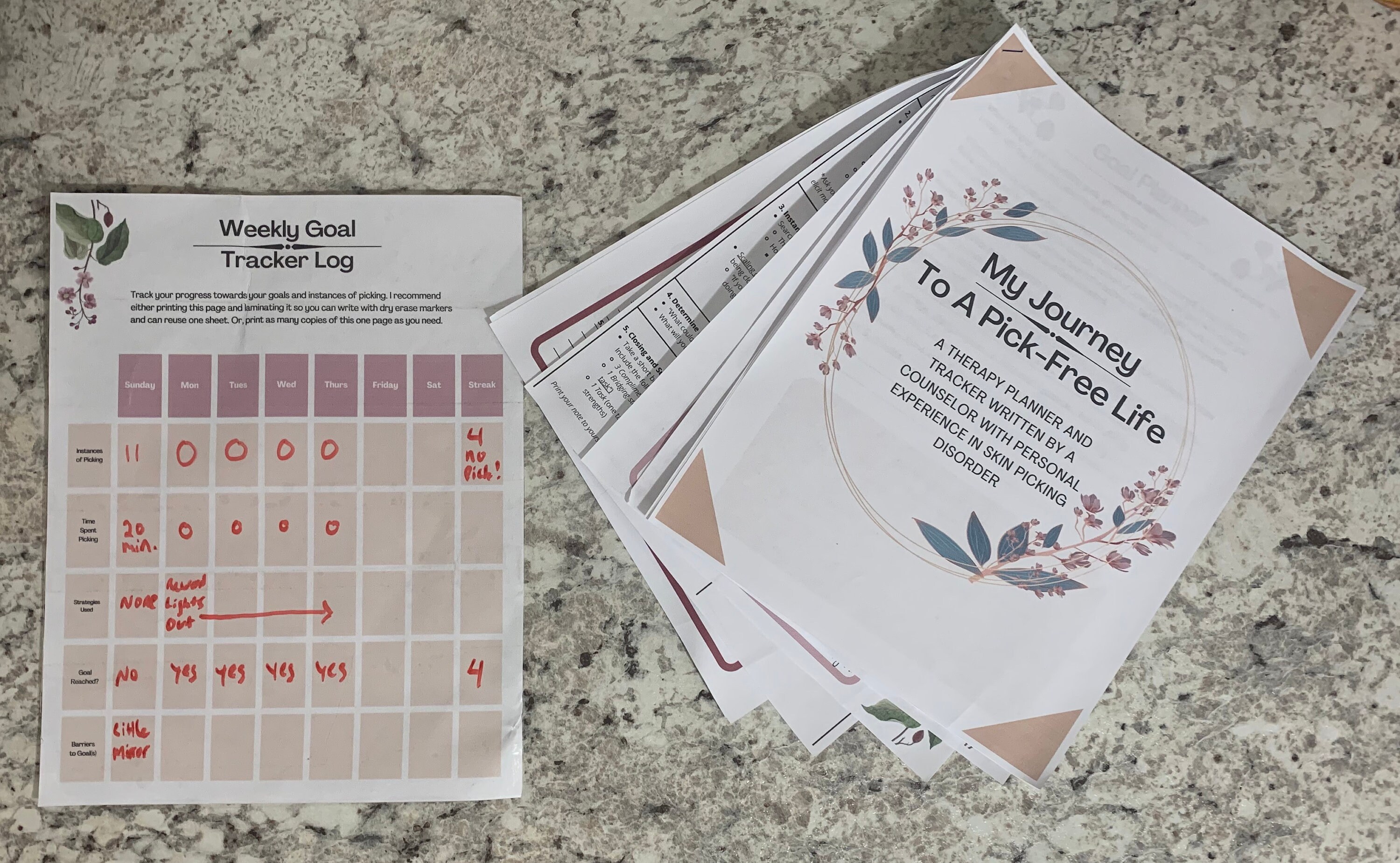 Skin Picking Therapy Journal, Planner, Workbook, and Tracker ...