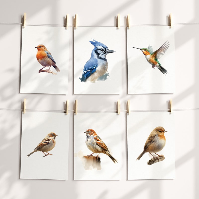 Printable Bird Art - Etsy