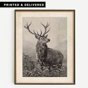 Stag - Etsy
