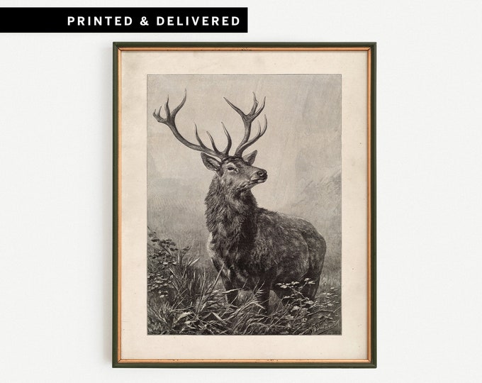 Vintage Stag Wall Art, Antique Wildlife Etching Print, Neutral Autumn ...