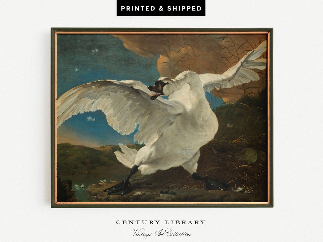 Vintage Angry Swan Wall Art, Bird Wall Art, Vintage Painting Home Decor ...