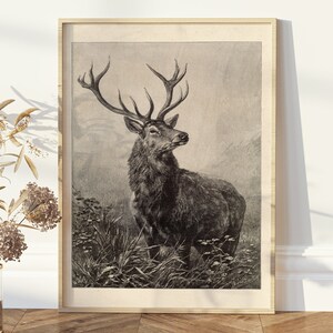 Vintage Stag Wall Art, Antique Wildlife Etching Print, Neutral Autumn ...