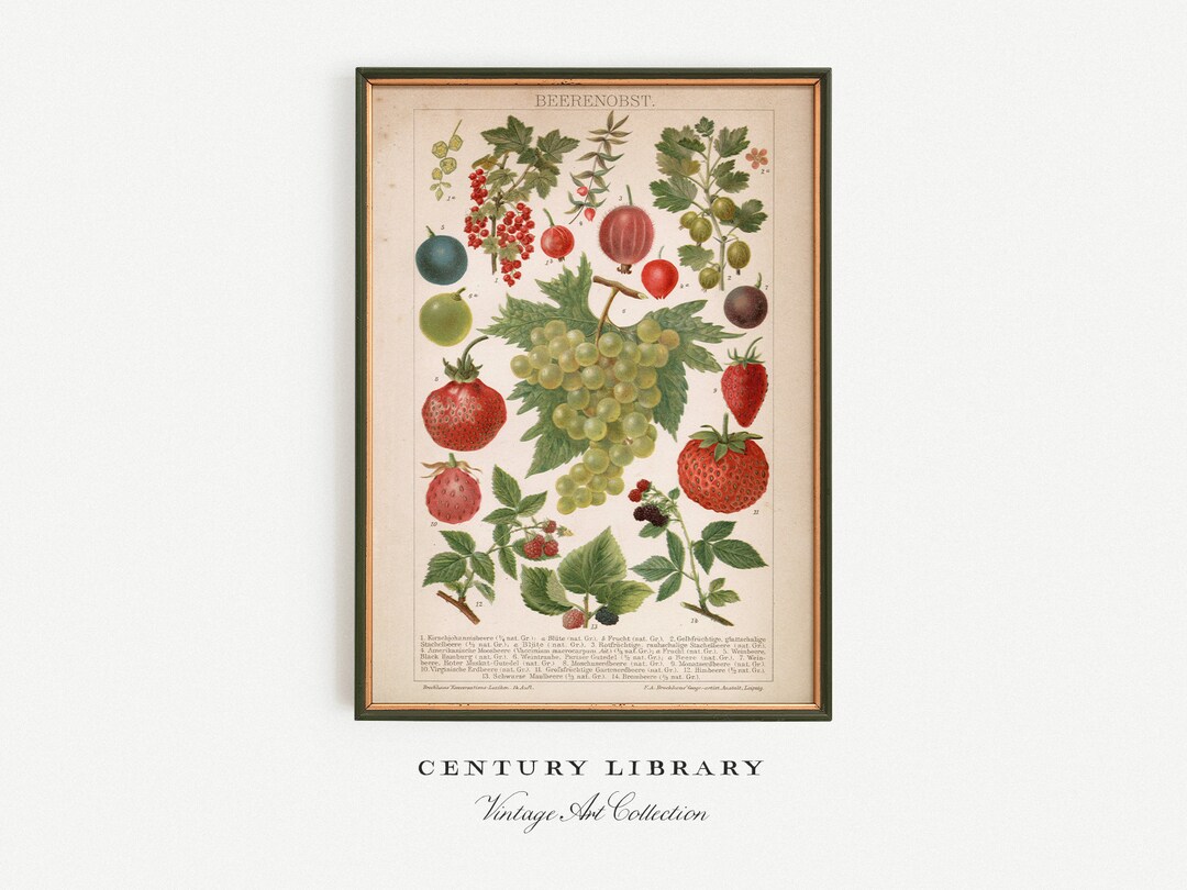 VINTAGE Wall Art Fruit Print, Printable Kitchen Decor of Various Fruits ...