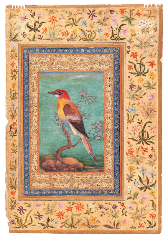 Persian Miniature Bird