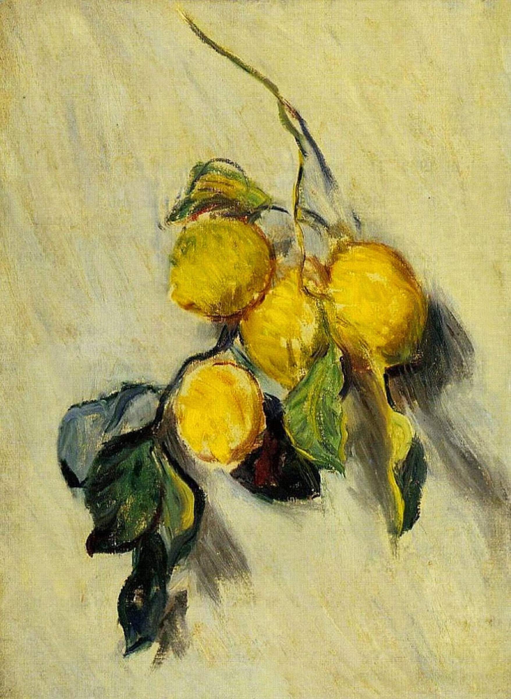 Monet Still Life Paintings