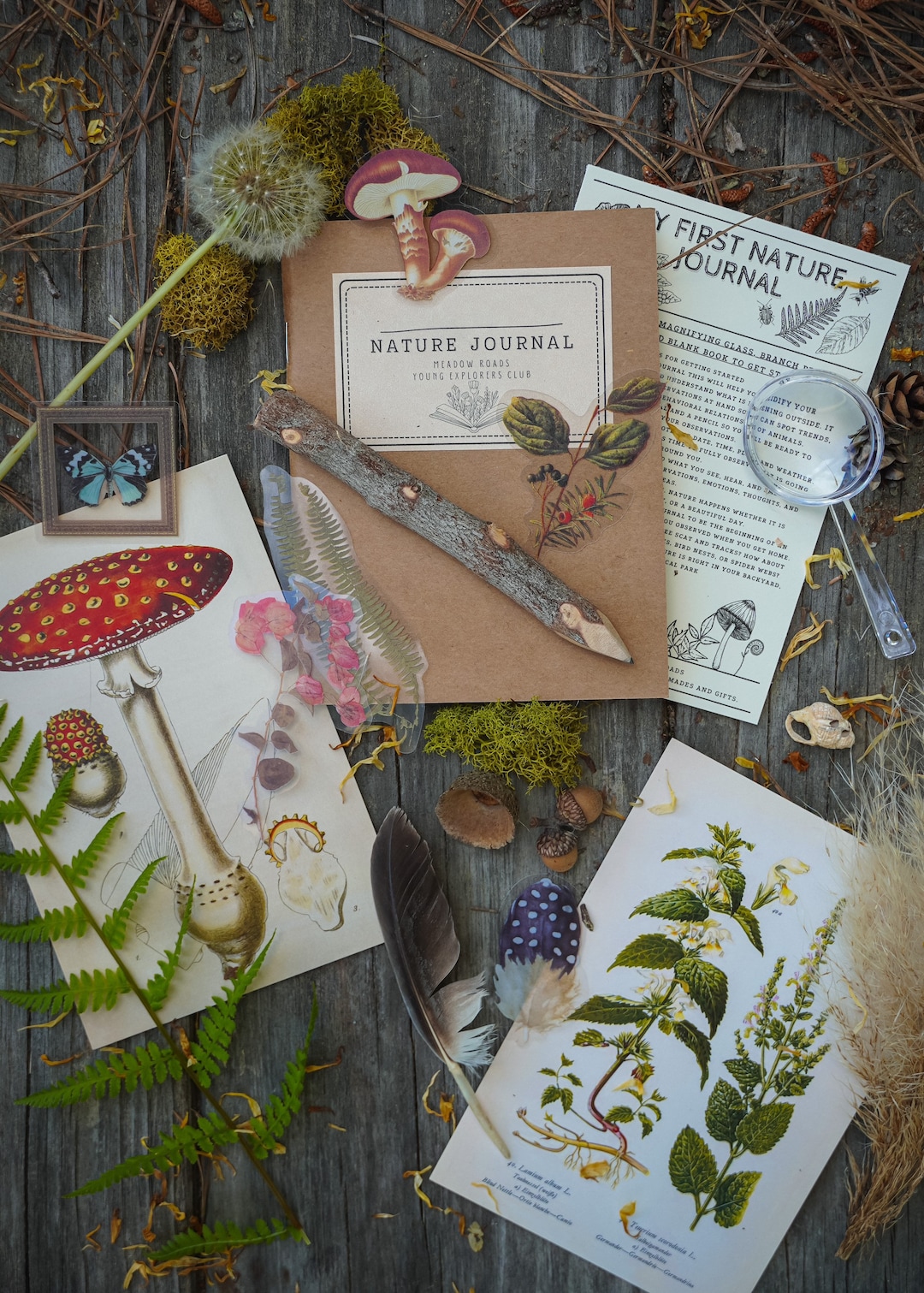 Young Explorers Nature Journal Kit. Write Your Child’s Name on Cover ...