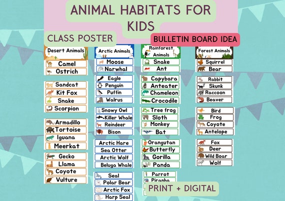 Animal Habitats Single Week Themed Word Wall Set Classroom - Etsy