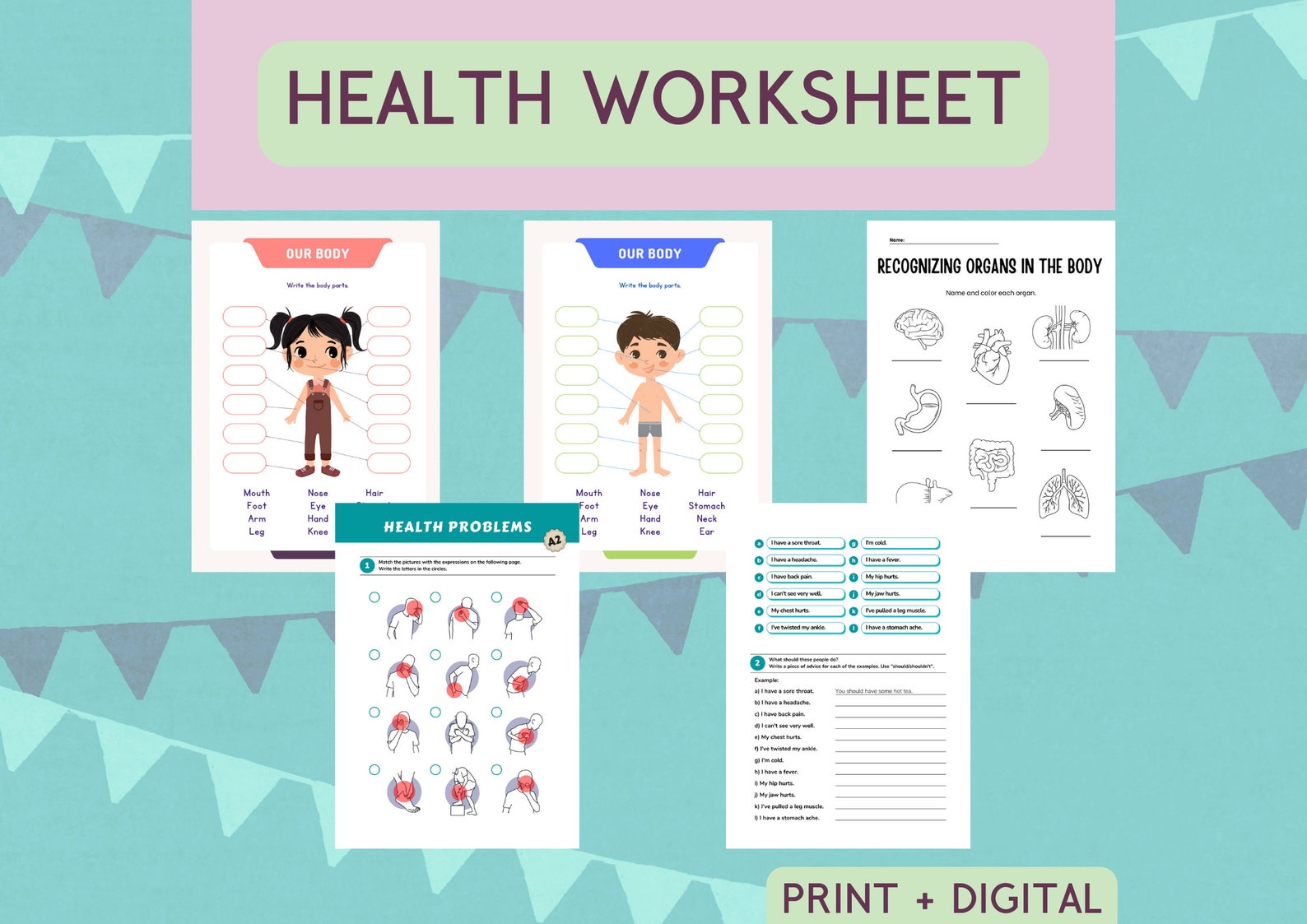 Printable First Aid Kit Worksheet, Education, Health Worksheet, English ...