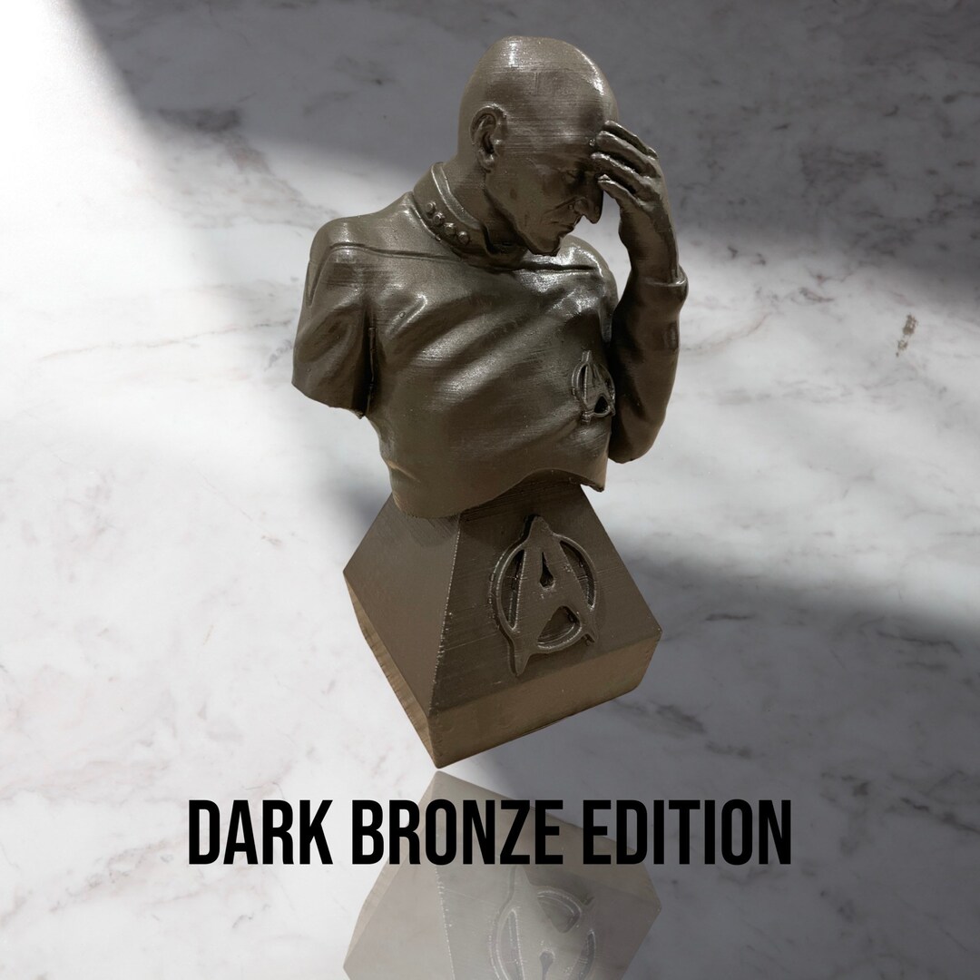 Captain Picard Face Palm Meme Statue With Stand Trophy Desk - Etsy Ireland
