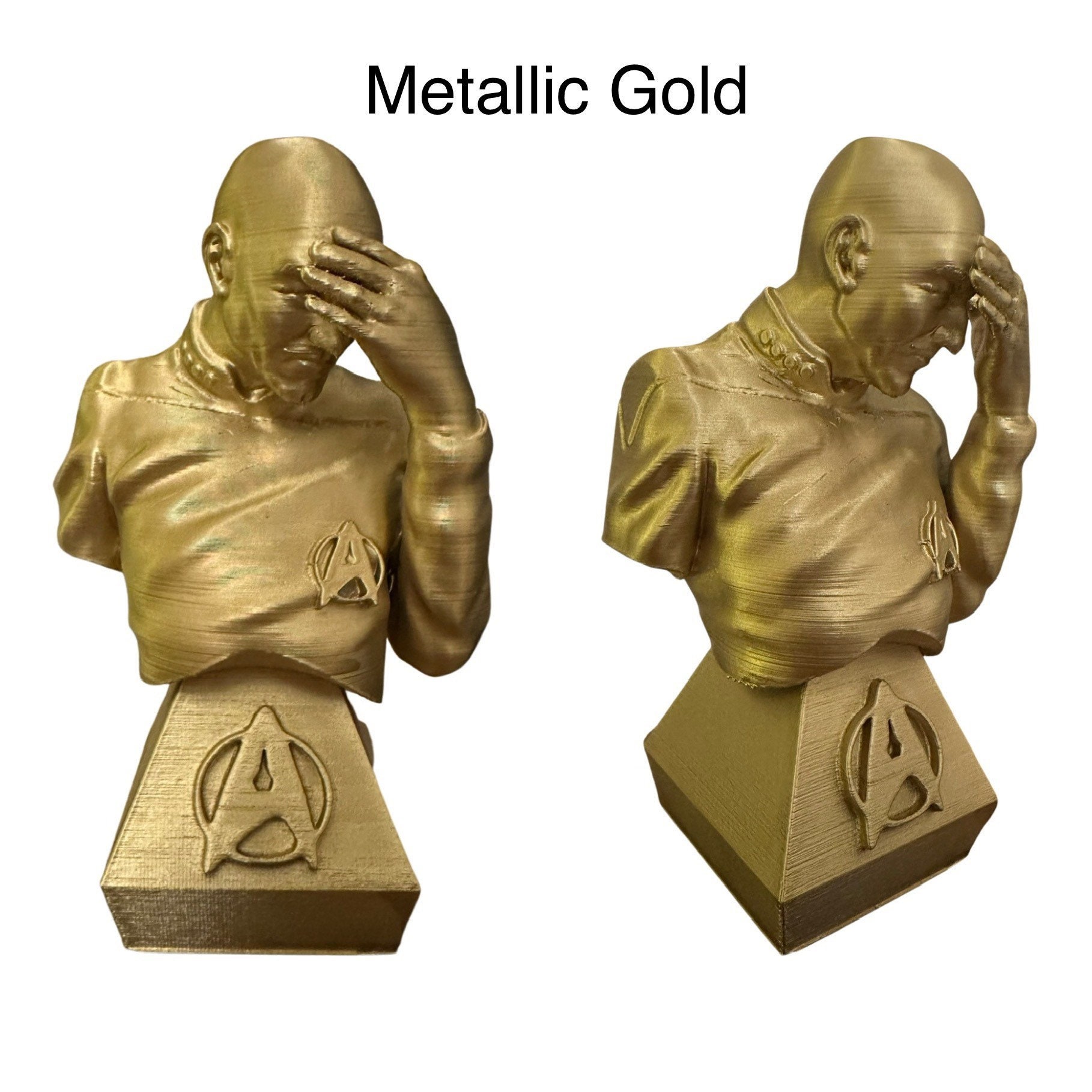 Captain Picard Facepalm
