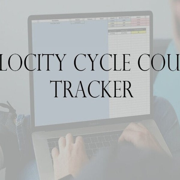 Excel Spreadsheet Velocity Banking Etsy