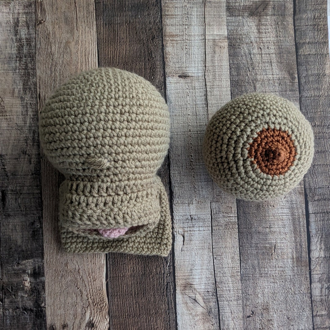 Breastfeeding Education, Lactation Consultant Teaching, Crochet Puppet ...