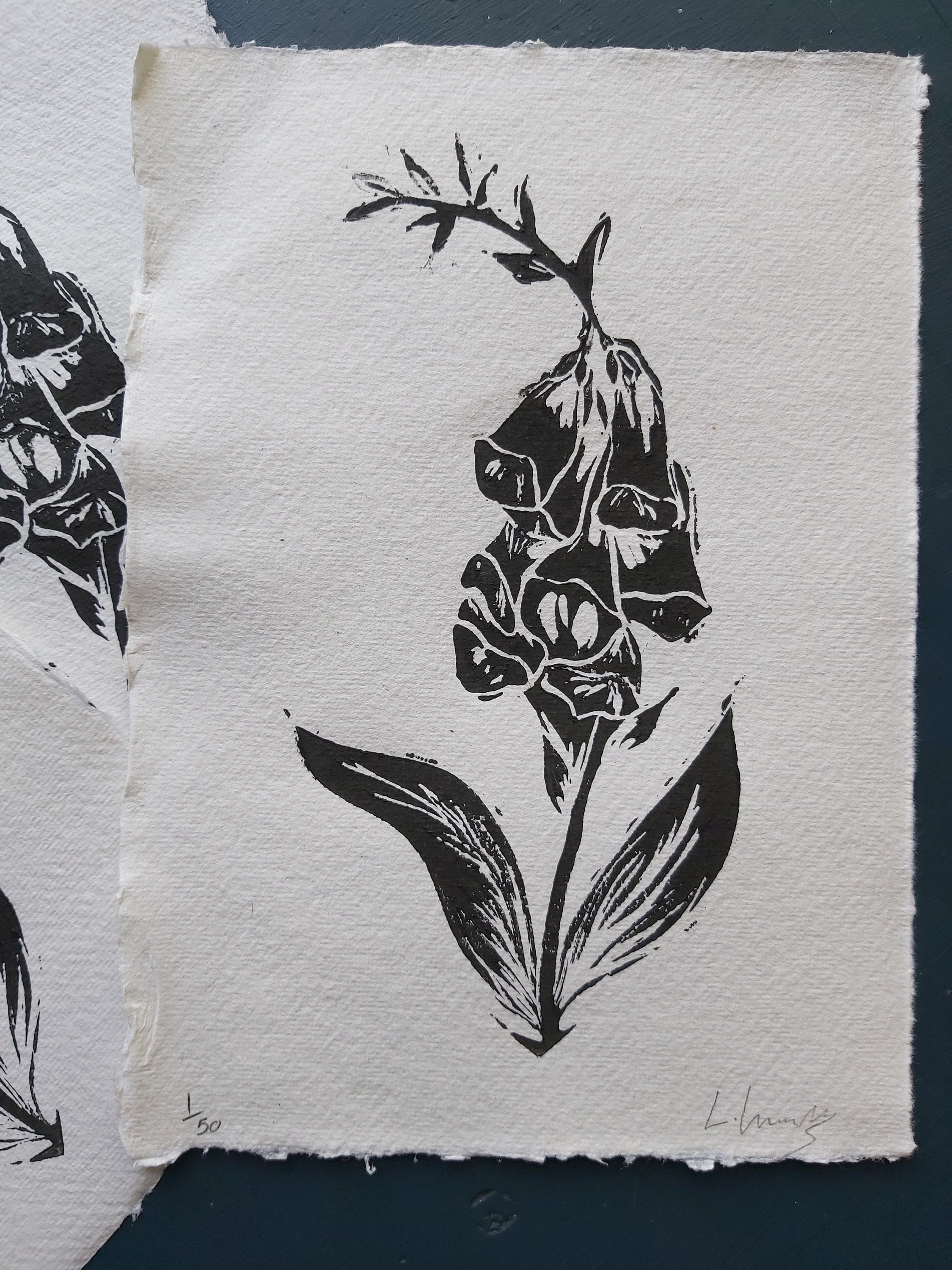Linoprint Irish Foxgloves Irish Art Nature Art - Etsy Ireland