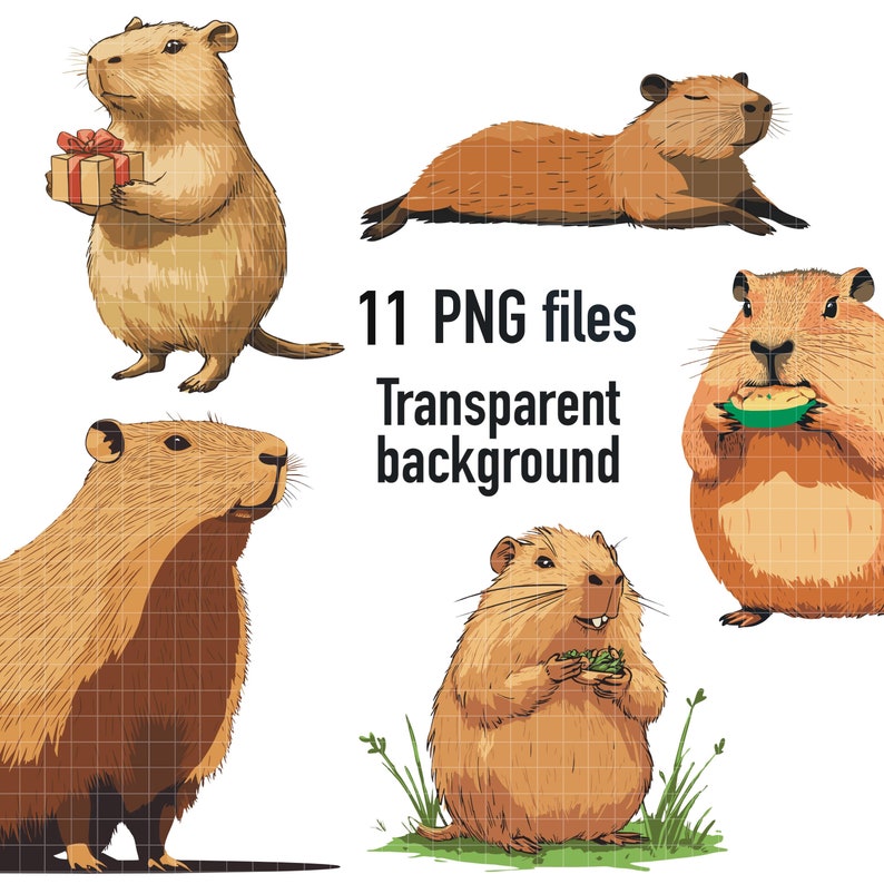 Imágenes prediseñadas de capibara en formato PNG: 11 ilustraciones ...