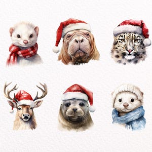 Christmas Woodland Animals Watercolor Clipart Png, Cute Woodland ...