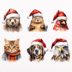 Christmas Woodland Animals Watercolor Clipart Png, Cute Woodland ...
