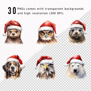 Christmas Woodland Animals Watercolor Clipart Png, Cute Woodland ...