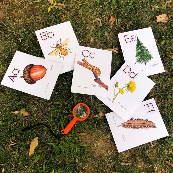 Nature Classroom Poster - Etsy