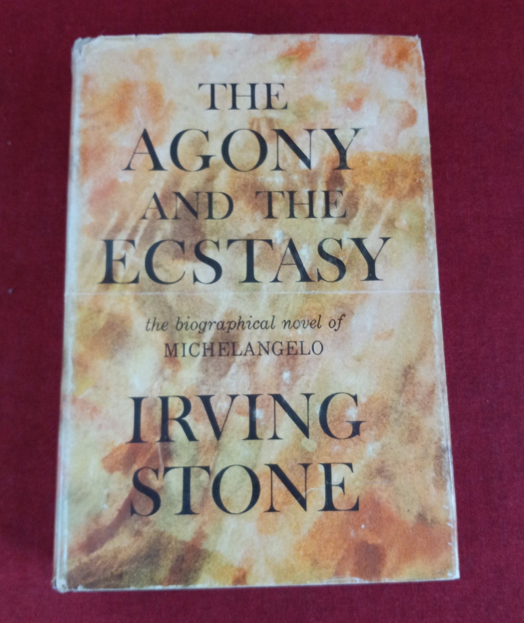 The Agony and the Ecstasy the Biographical Novel of Michelangelo by ...