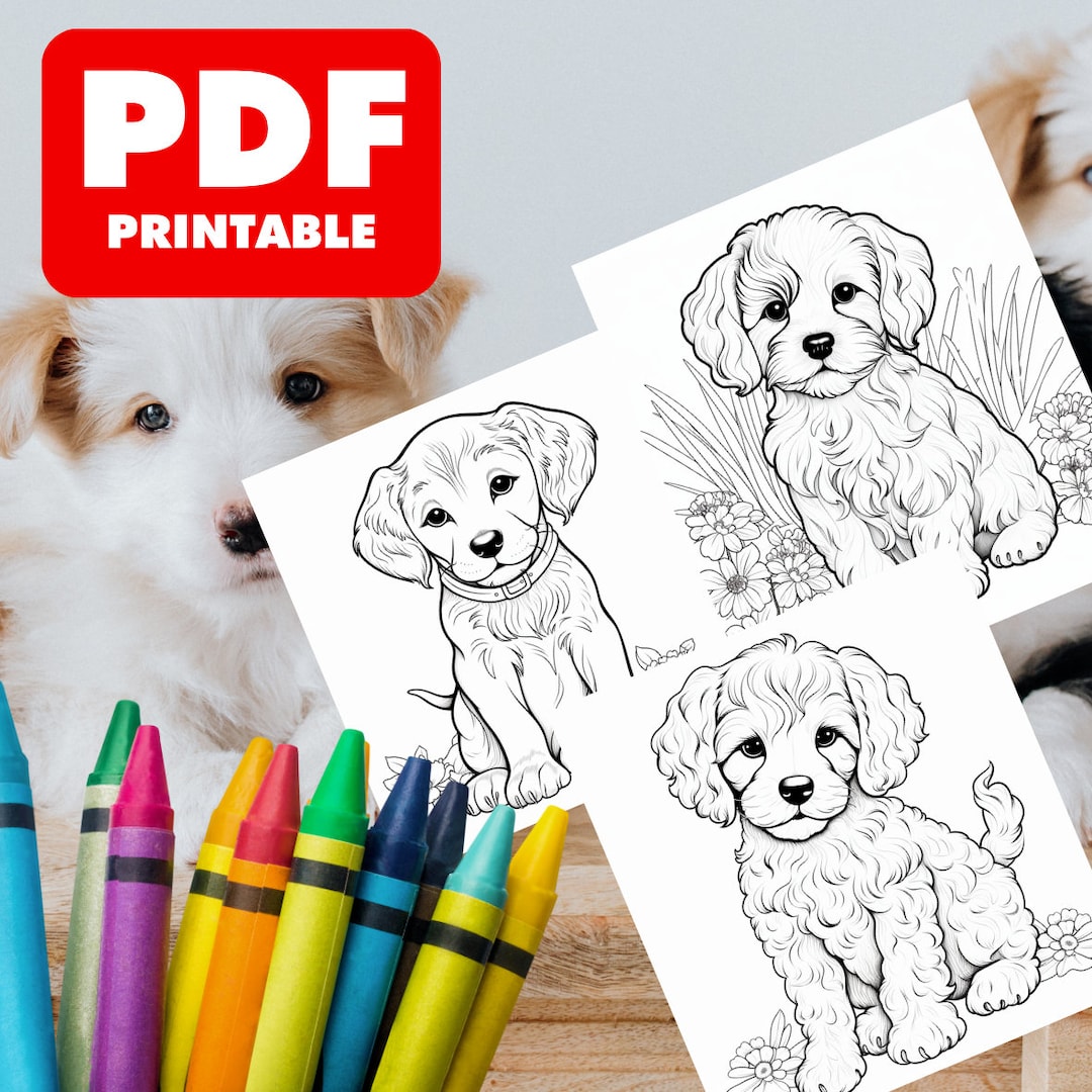 Children's Coloring Book Pages Cherished Animal Companions Coloring - Etsy