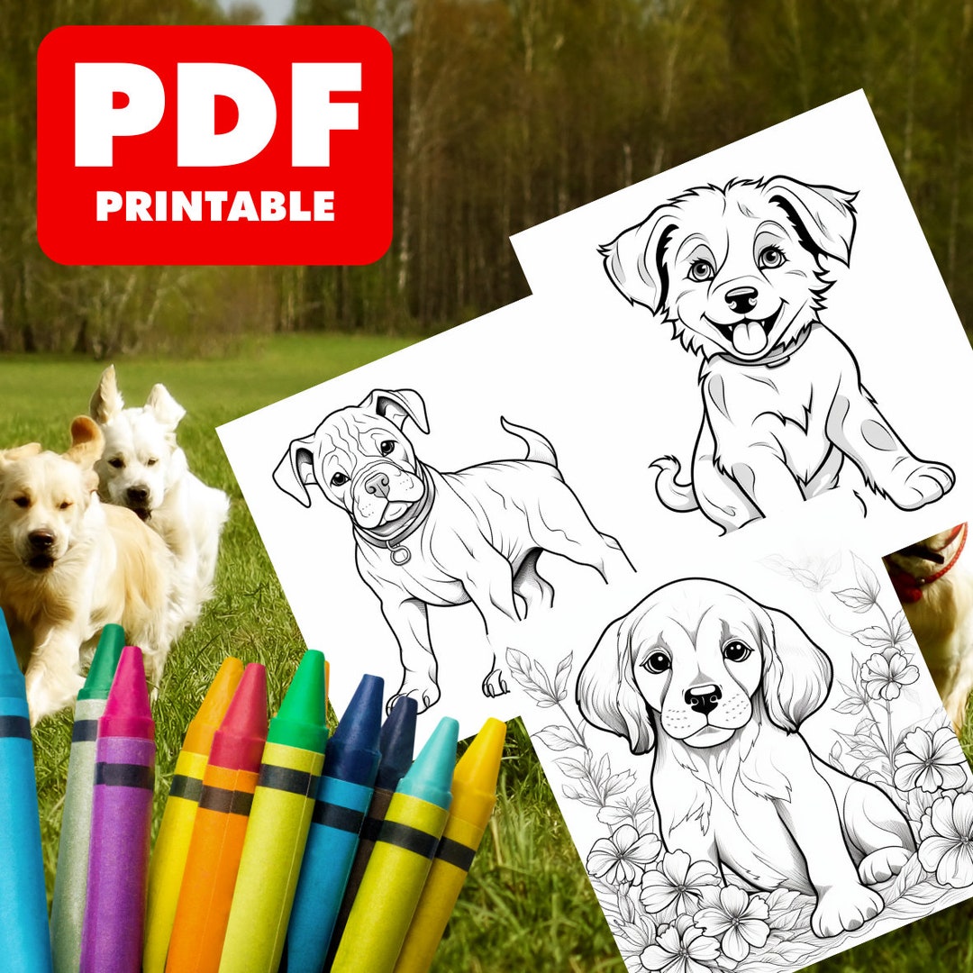 Children's Coloring Book Pages Furry Companions Coloring Journey - Etsy