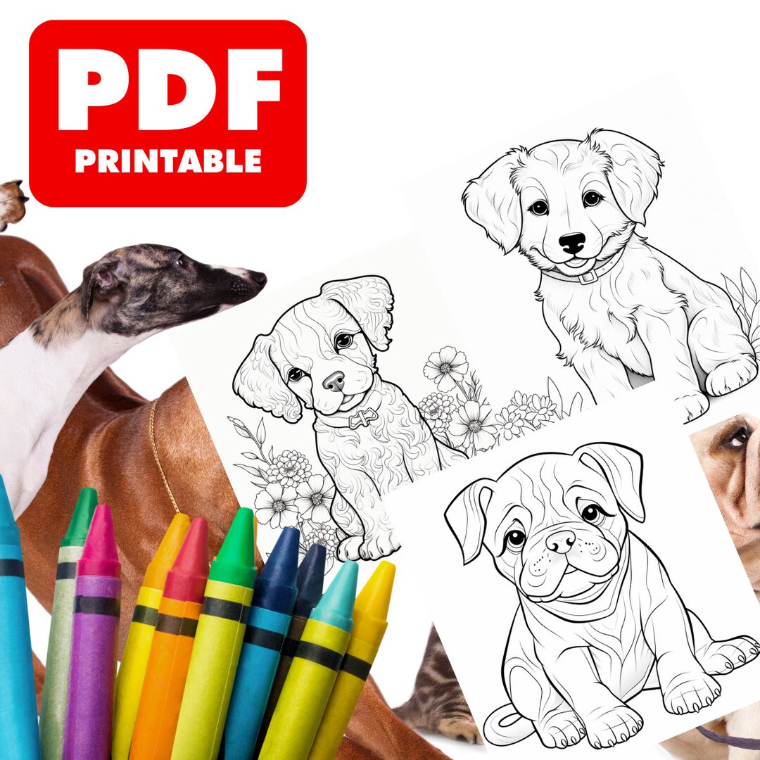 Children's Coloring Book Pages Whiskers and Paws: Furry Friends ...