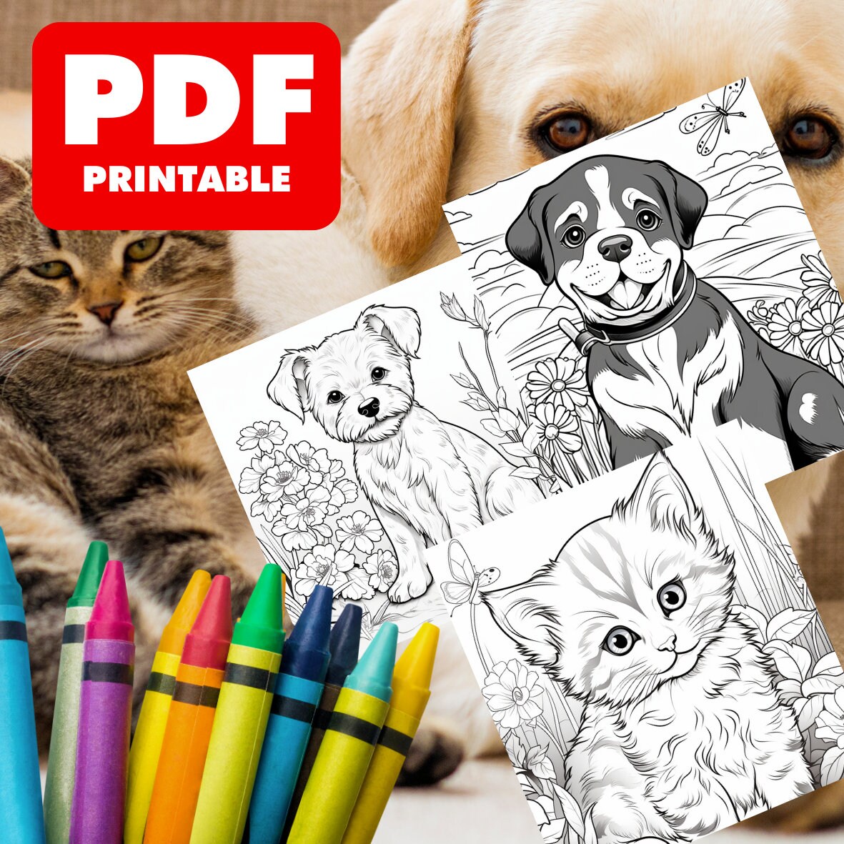 Children's Coloring Book Pages Pet Pals: Kittens and Puppies - Etsy