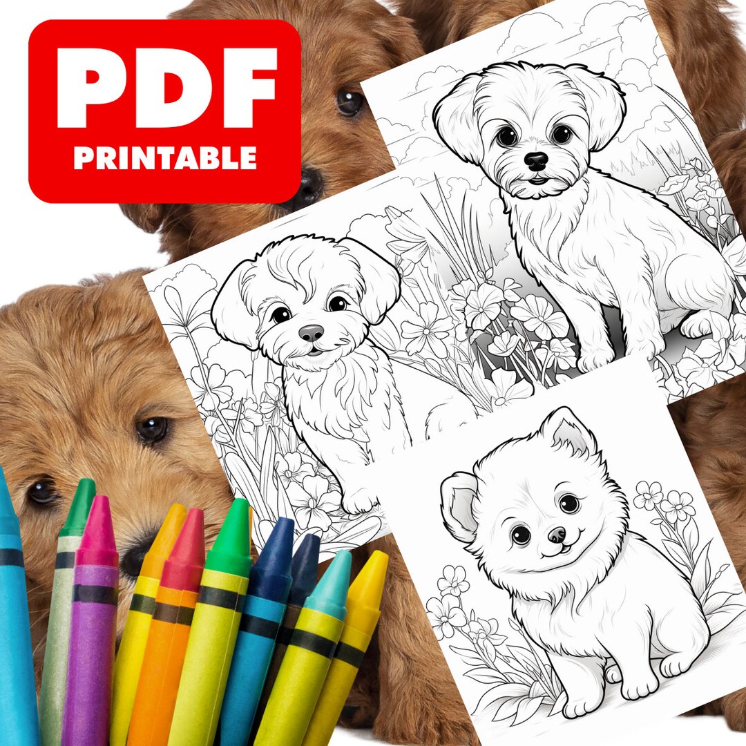 Children's Coloring Book Pages Rainbow Paws Imaginative - Etsy