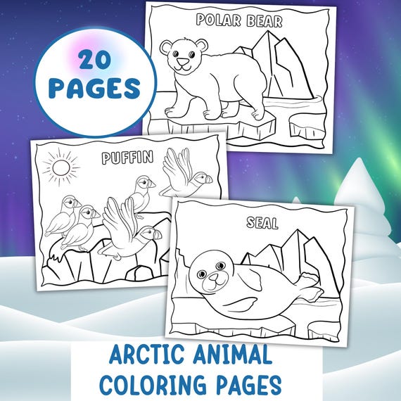 Arctic Animals Colouring