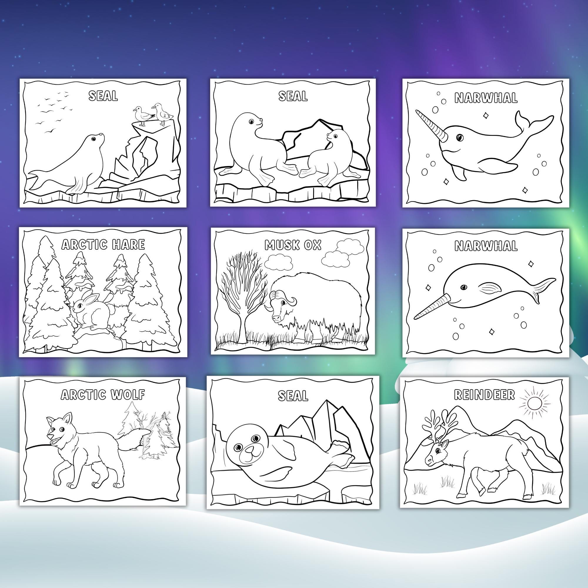 Arctic Animal Coloring Pages for Kids Printable Winter Animals Craft ...