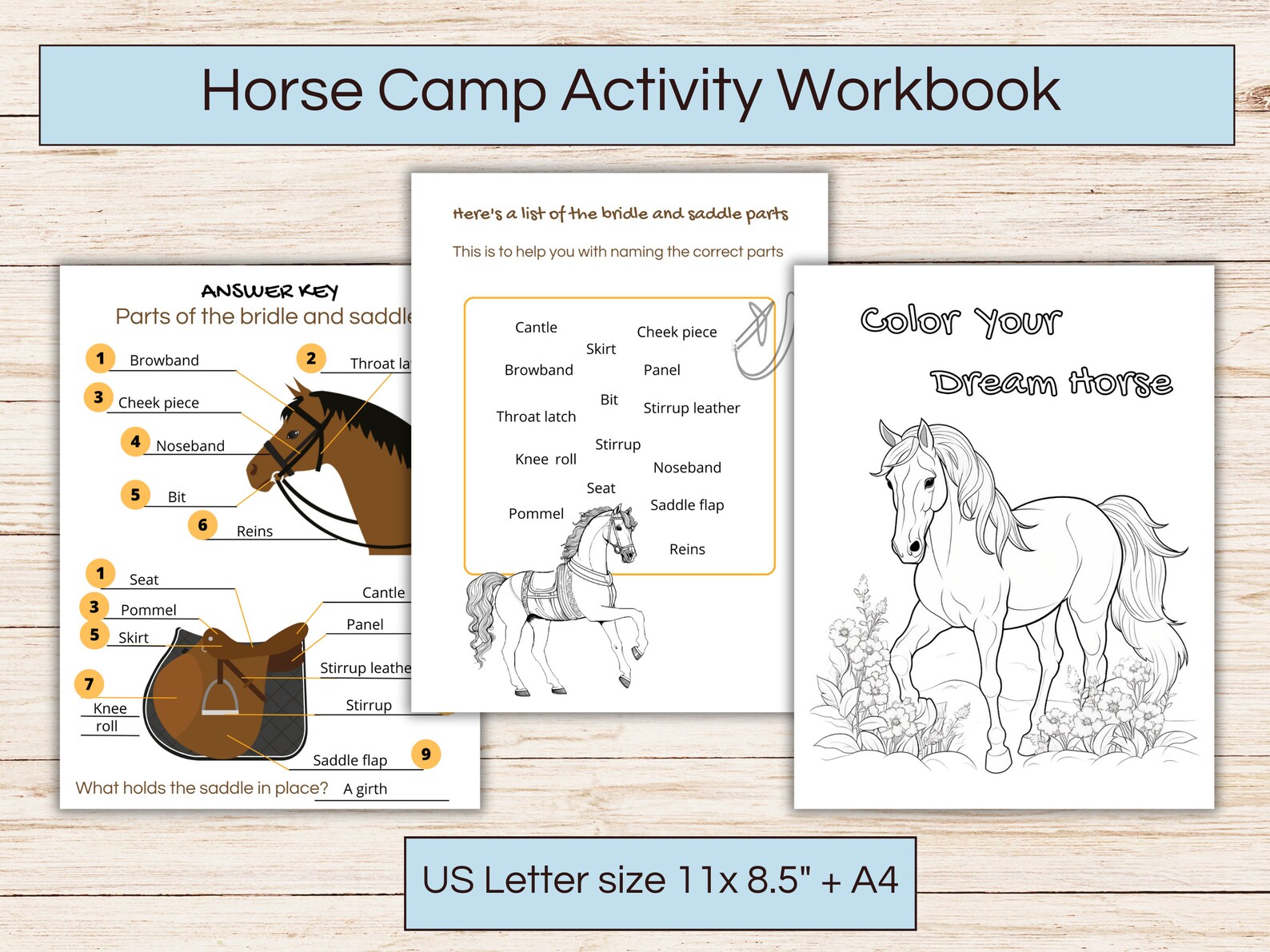 Horse Camp Activity & Coloring Workbook Printable, Horse Camp Activity ...