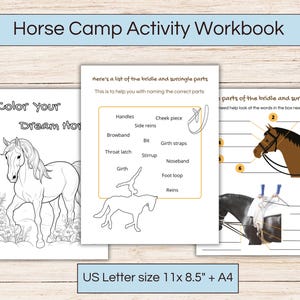 Horse Camp Vaulting Activity Coloring Workbook, Horse Summer Camp ...