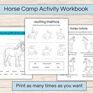 Horse Camp Vaulting Activity Coloring Workbook, Horse Summer Camp ...
